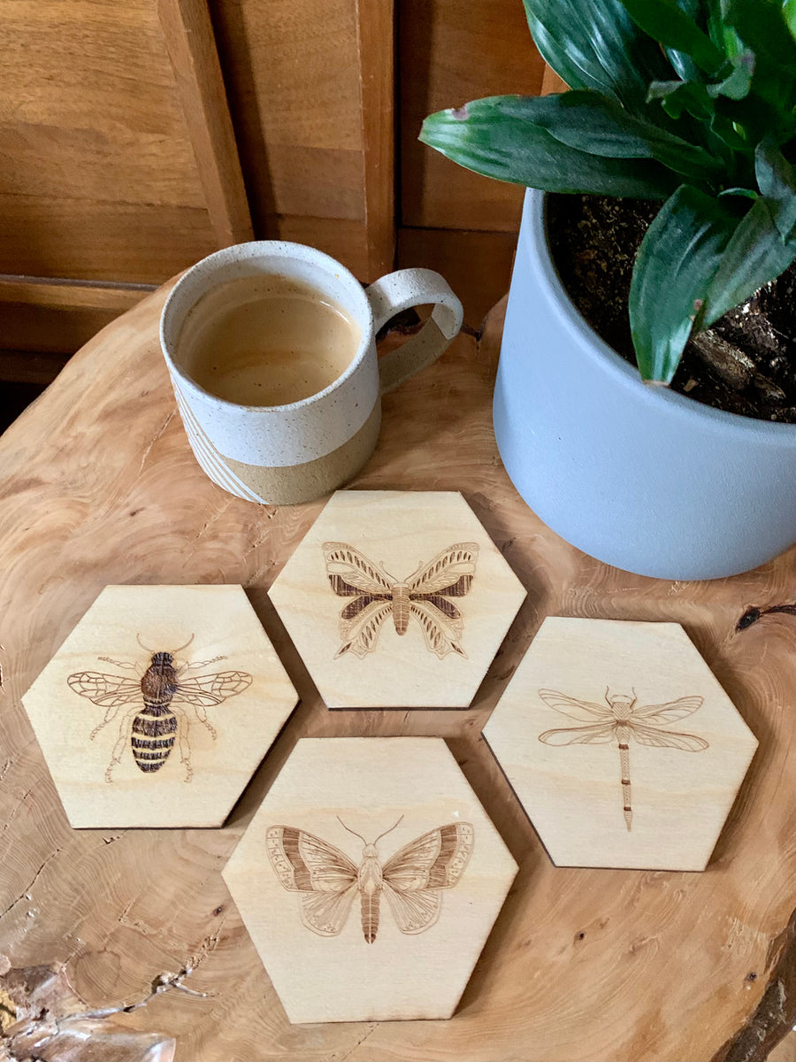 Insect Hexagon Coasters – Wild Wolves Design